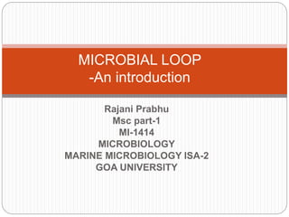 microbial loop | PPTX