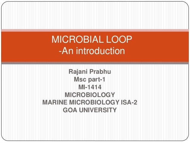 Microbial Loop