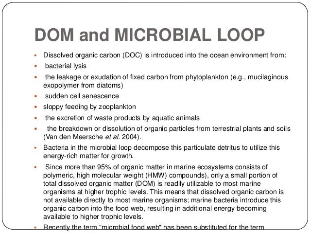 Microbial Loop