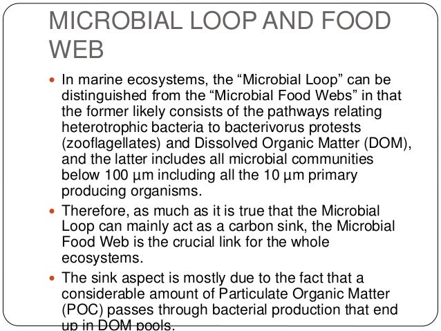 Microbial Loop