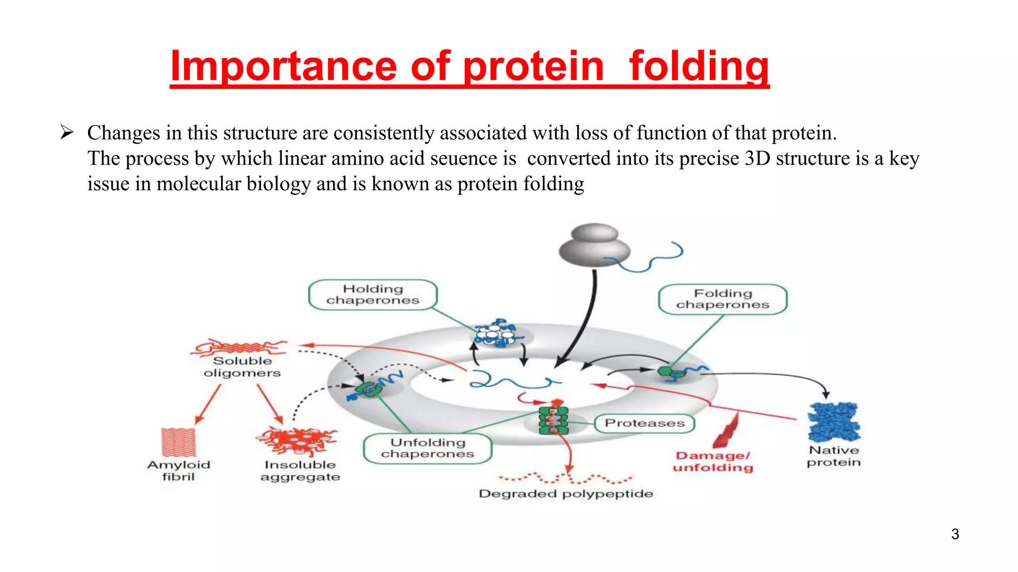 PROTEIN MISFOLDING AND DISEASES ASSOCIATED WITH THEM | PPTX