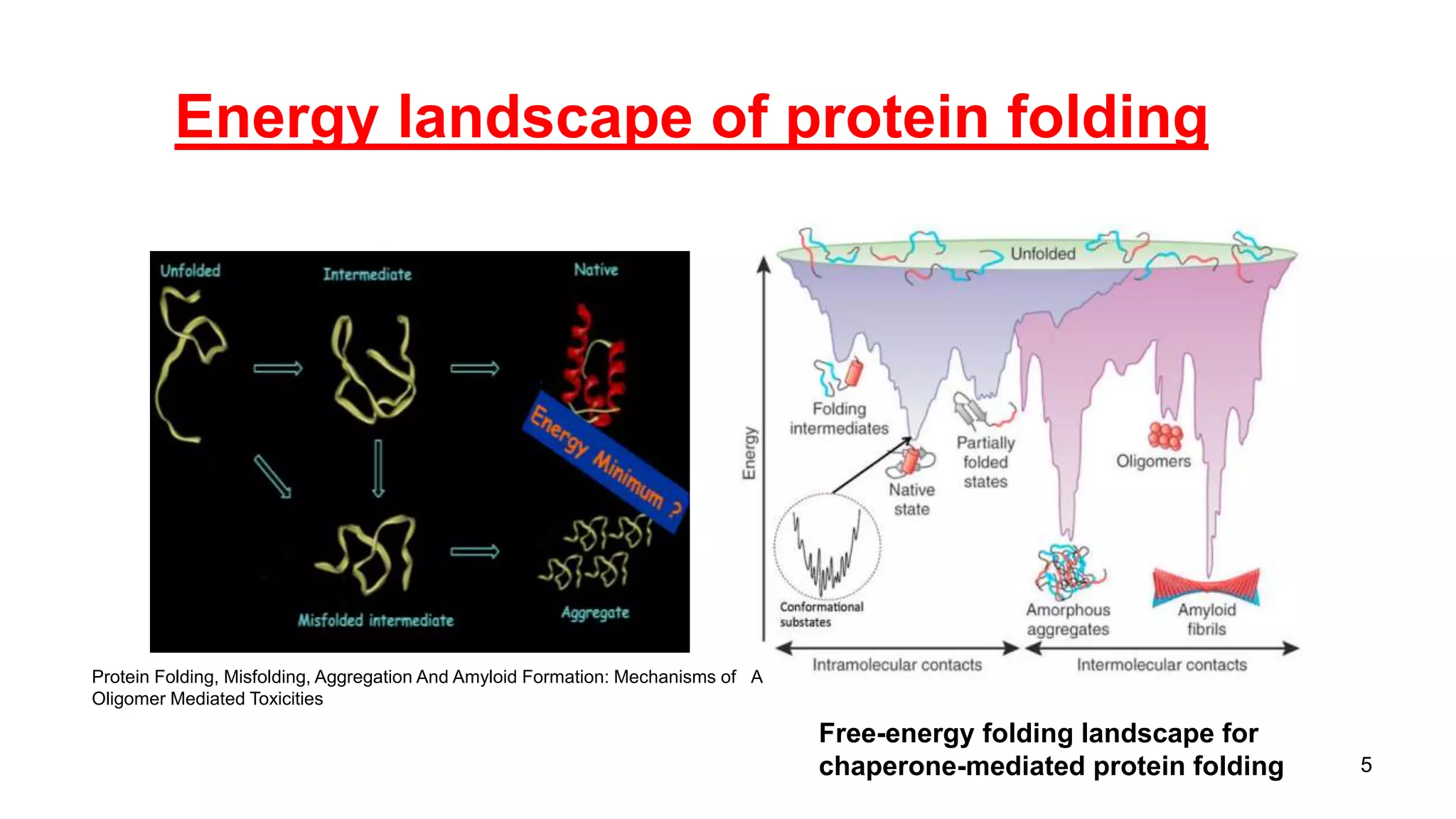 PROTEIN MISFOLDING AND DISEASES ASSOCIATED WITH THEM | PPTX