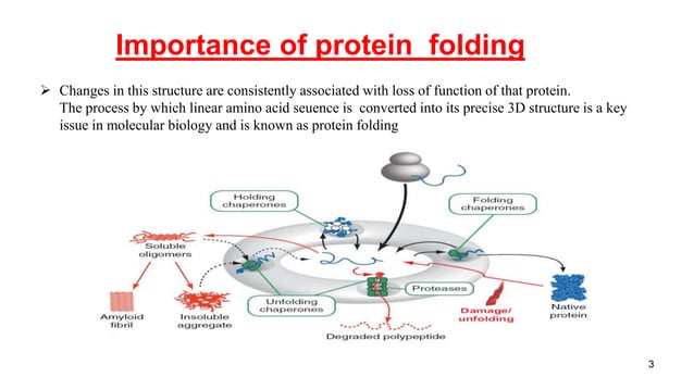 PROTEIN MISFOLDING AND DISEASES ASSOCIATED WITH THEM | PPTX