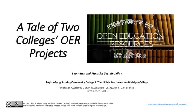 A Tale of Two Colleges' OER Projects: Learnings and Plans for ...
