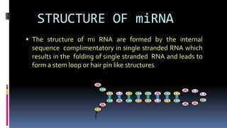 mi%20rna%20%20FINAL.pptx