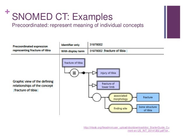 Mi224 snomed santiago & herber 022715
