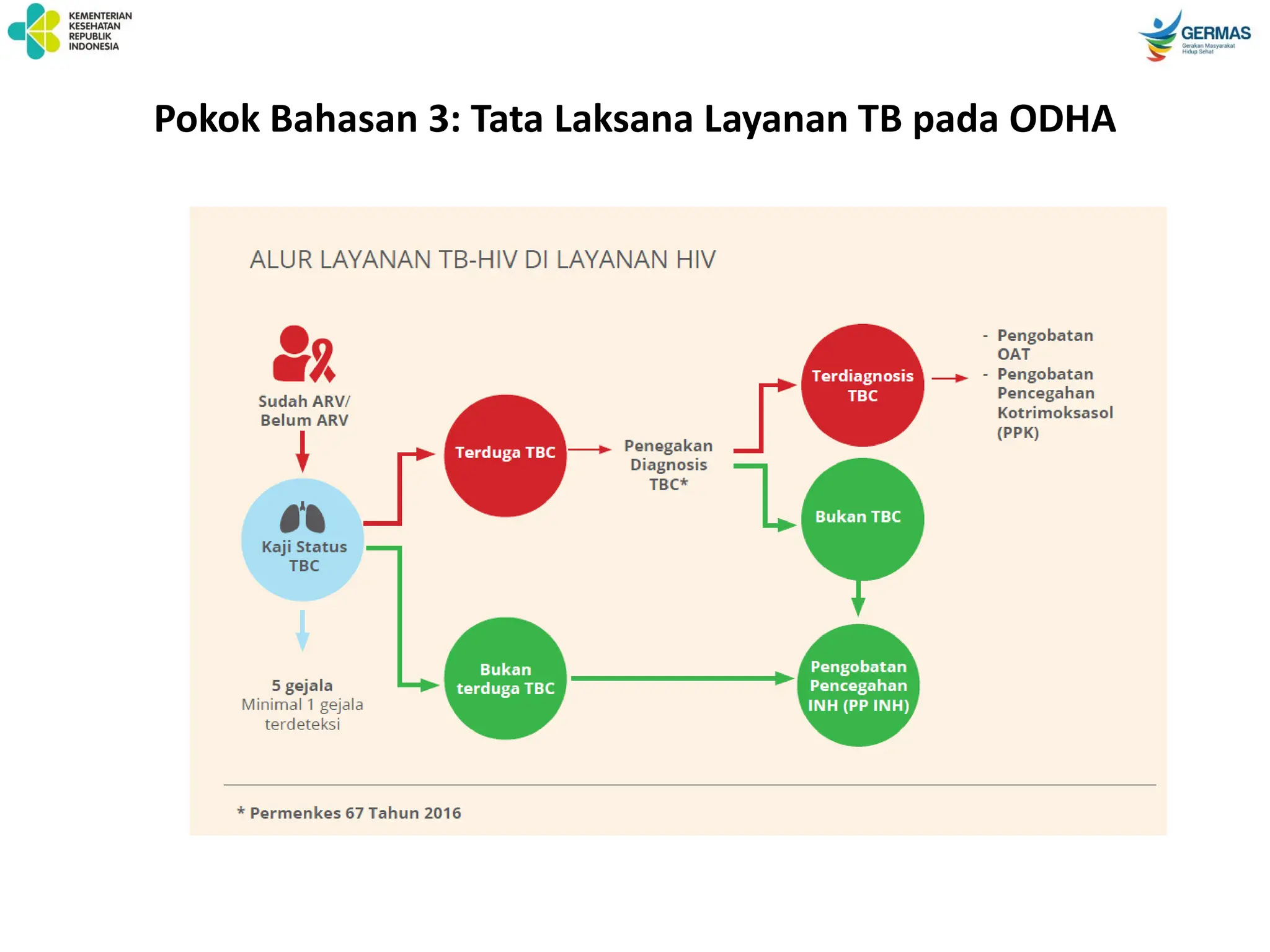Penyuluhan Kesehatan Tata Laksana TB dan HIV | PDF