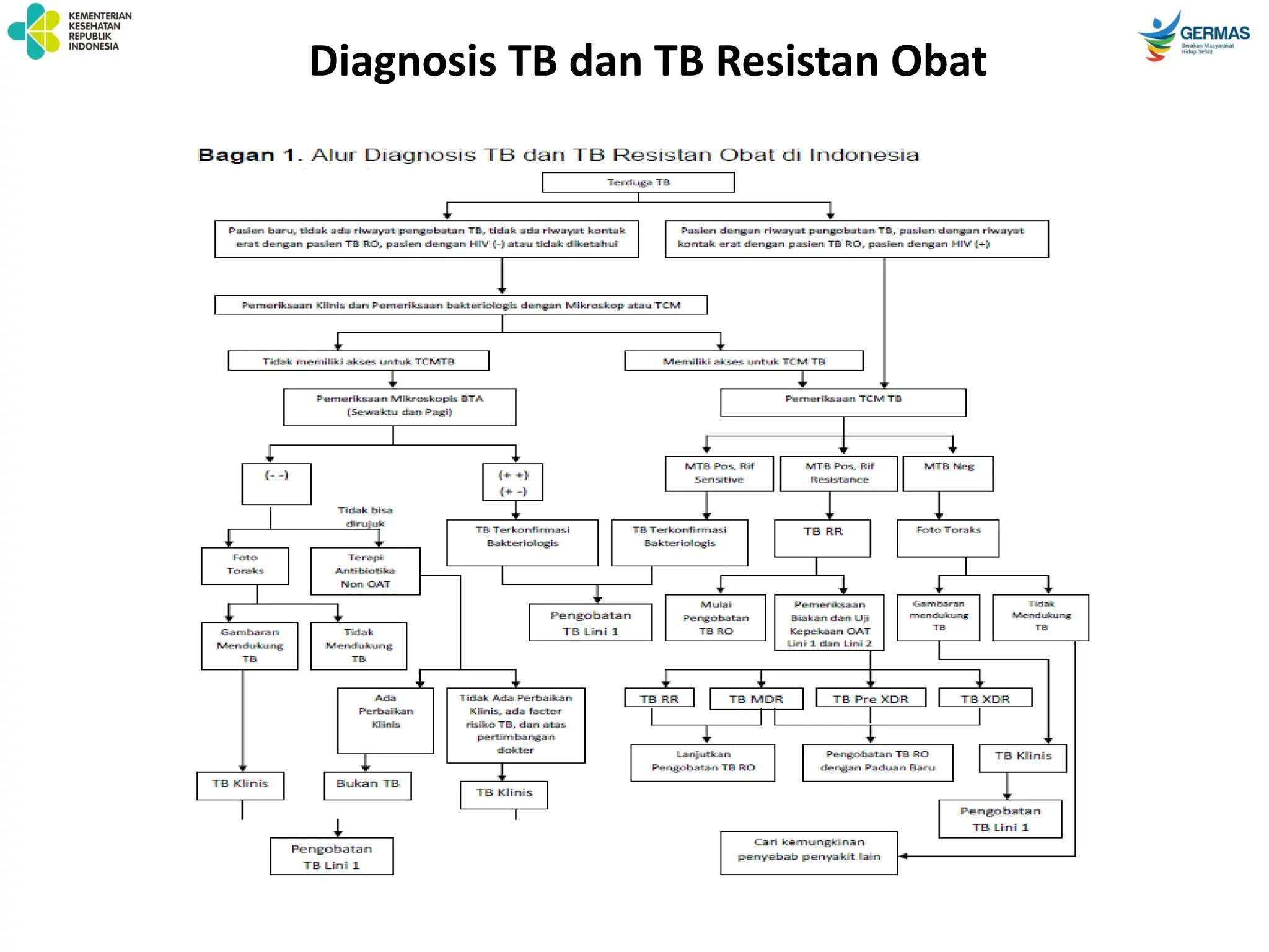 Penyuluhan Kesehatan Tata Laksana TB dan HIV | PDF