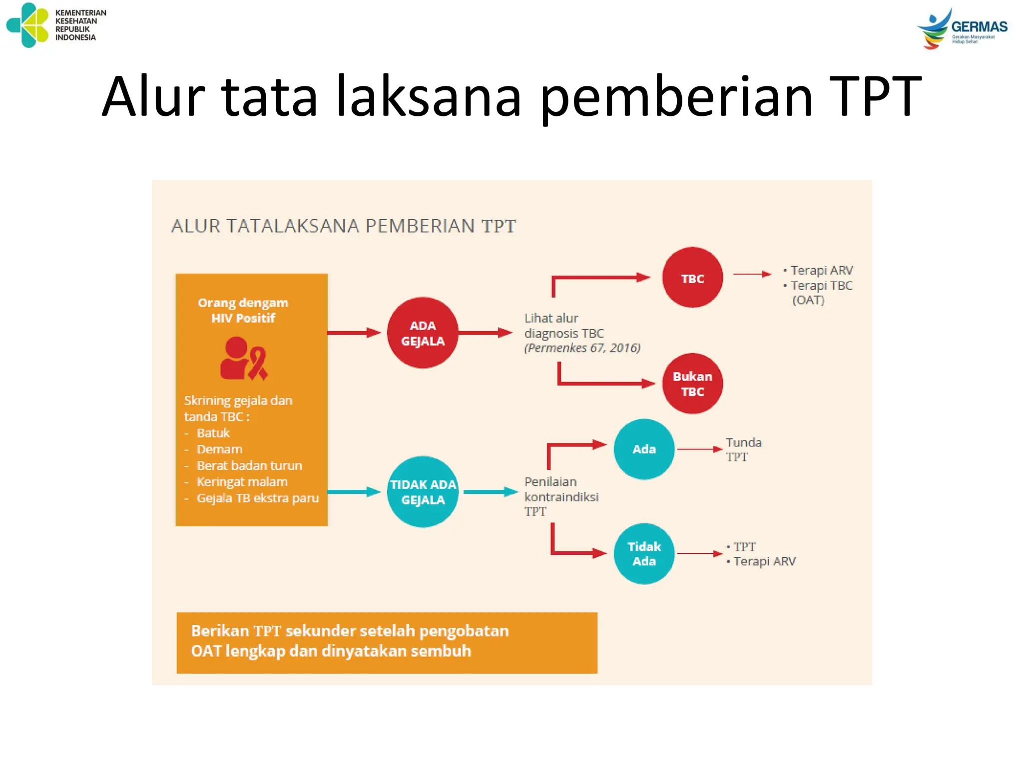 Penyuluhan Kesehatan Tata Laksana TB dan HIV | PDF