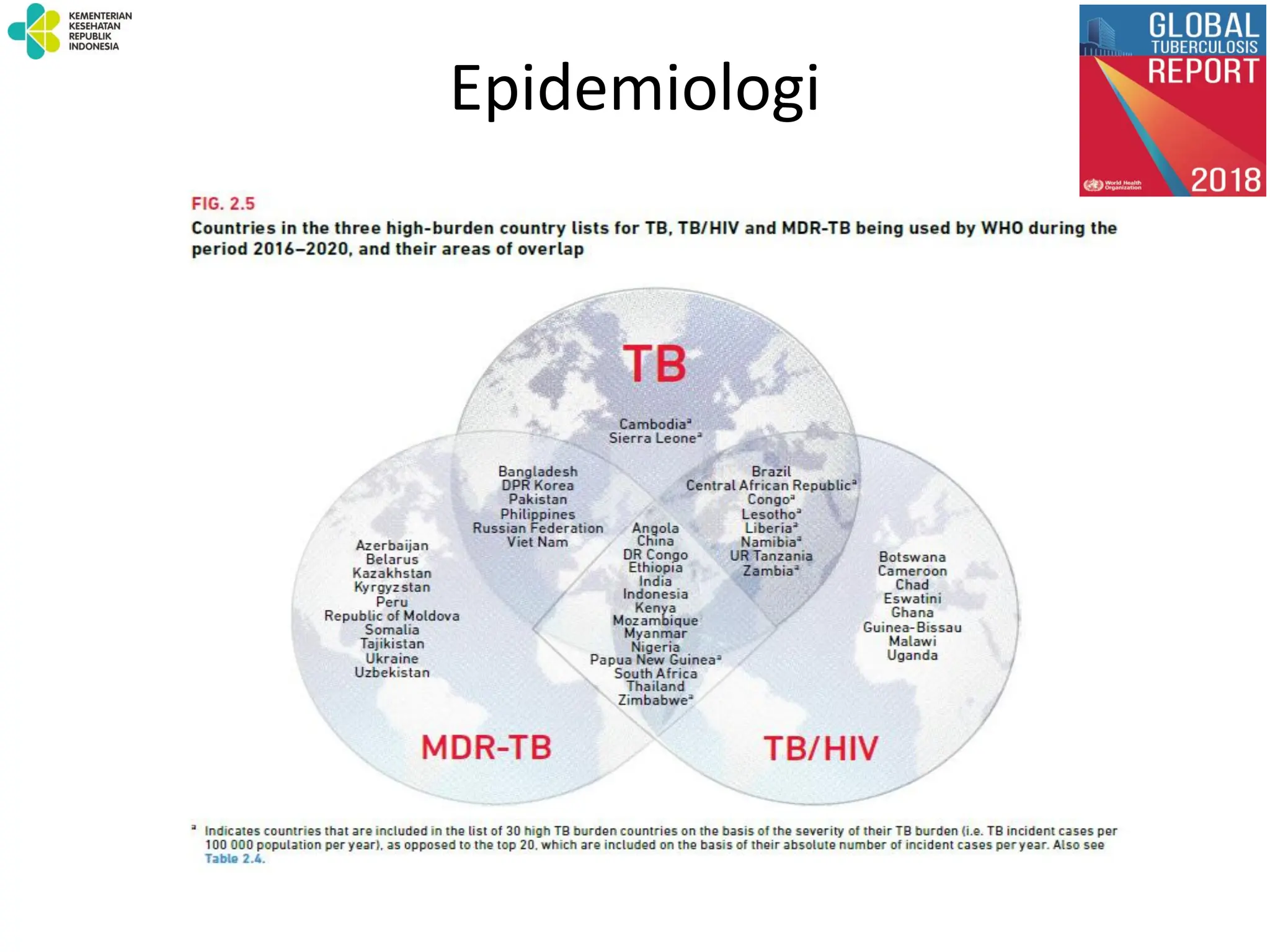 Penyuluhan Kesehatan Tata Laksana TB dan HIV | PDF
