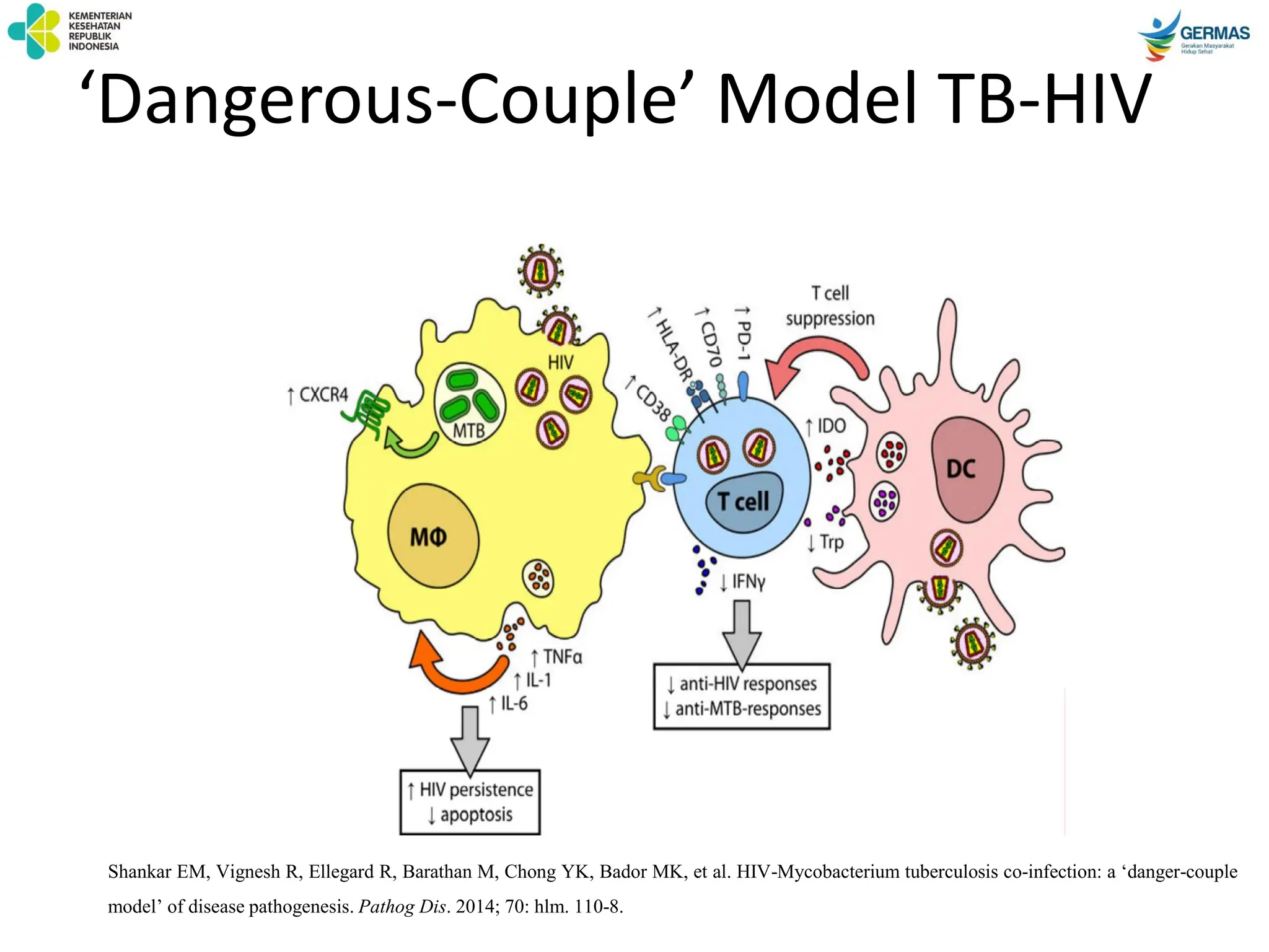 Penyuluhan Kesehatan Tata Laksana TB dan HIV | PDF