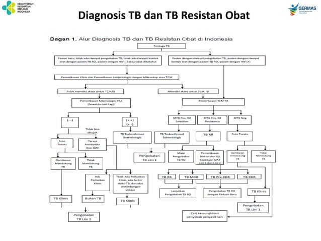 Penyuluhan Kesehatan Tata Laksana TB dan HIV | PDF