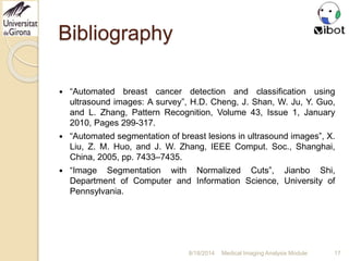 Breast Lesion Segmentation in Ultrasound Images | PPTX | Photo Editing ...
