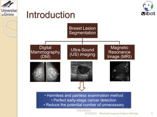Breast Lesion Segmentation in Ultrasound Images | PPTX | Photo Editing ...