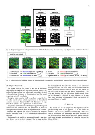 Segmenting Epithelial Cells in High-Throughput RNAi Screens (Miaab 2011) | PDF