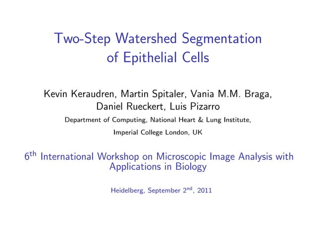 Segmenting Epithelial Cells in High-Throughput RNAi Screens (MIAAB 2011) | PPT
