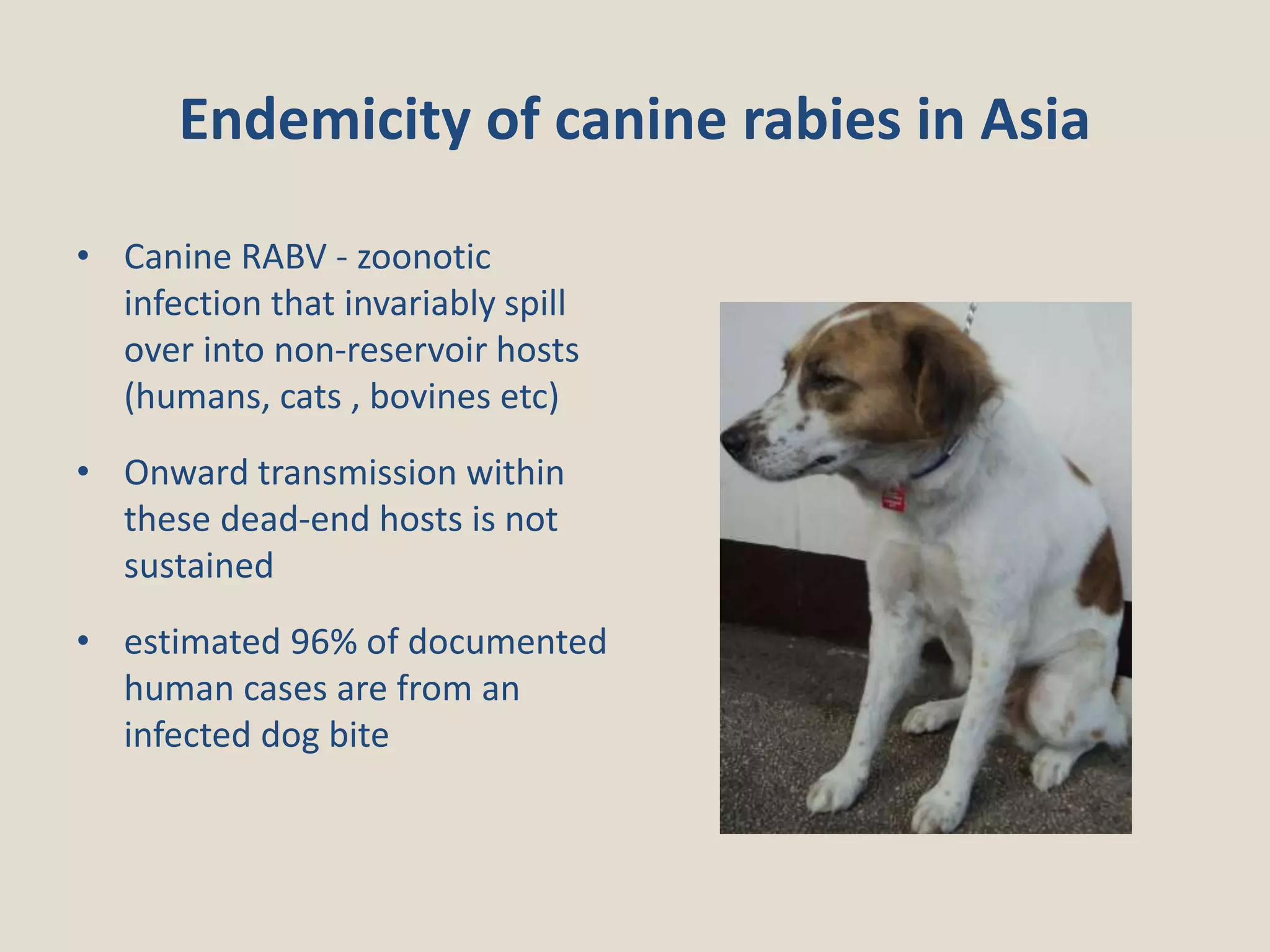 Miranda effective surveillance for rabies elimination 2016 miranda for ...