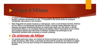 Miíase.pptx
