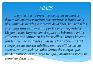 Miasis | PPTX