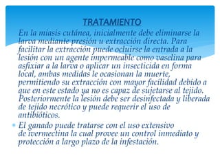 Miasis | PPTX