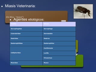 Miasis Veterinaria | PDF