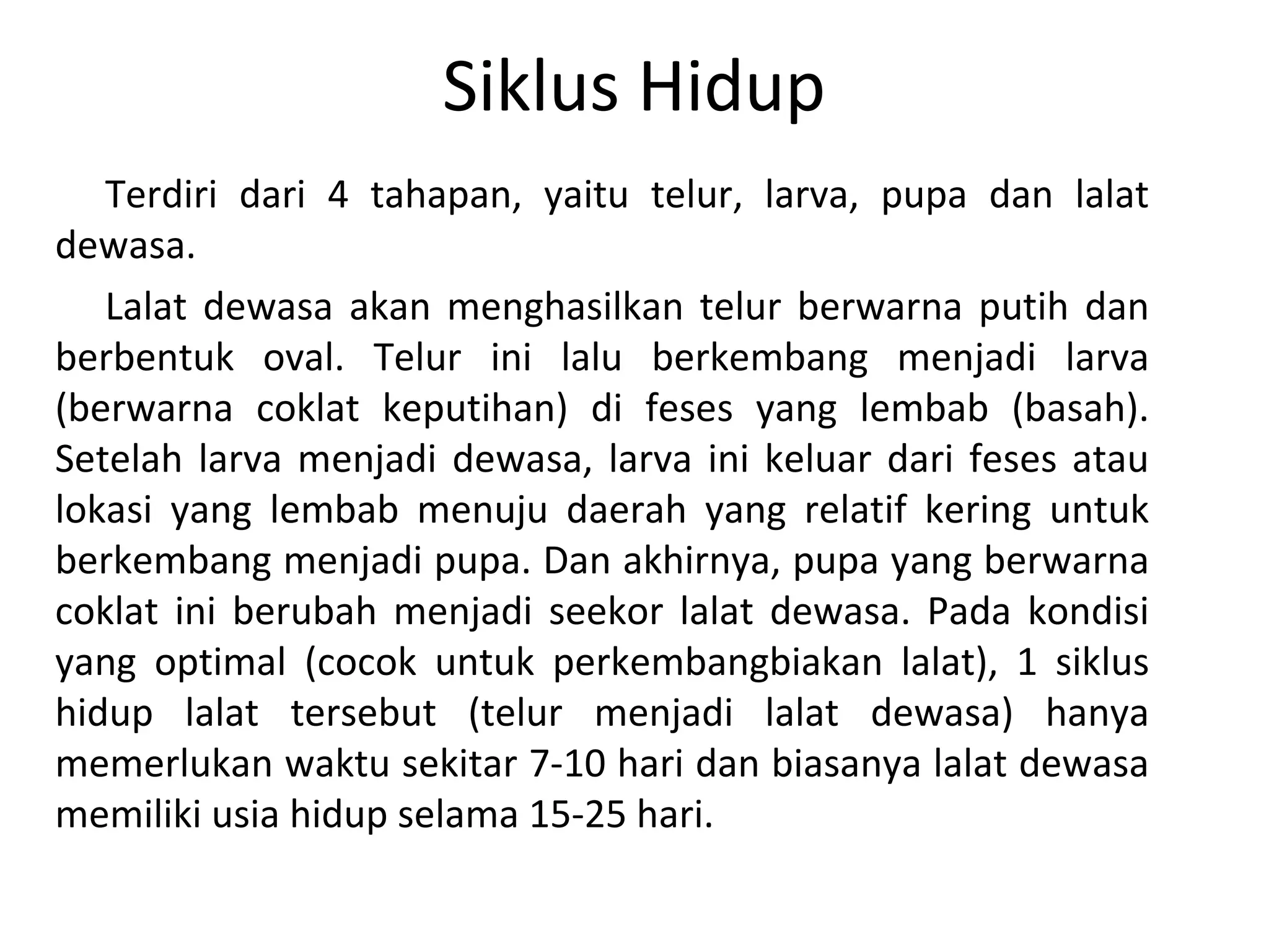 Miasis Makhluk Hidup | PPT