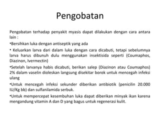 Miasis Makhluk Hidup | PPT