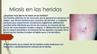 MIASIS CUTANEA.pptx mayyhkknahahajujdhdhdh | PPTX