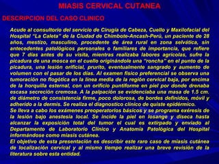 MIASIS CUTANEA FORUNCULOSA CERVICAL: A PROPOSITO DE UN CASO. | PPT