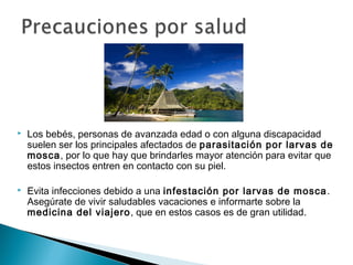 Miasis: enfermedad parasitaria causada por larvas de mosca | PPT