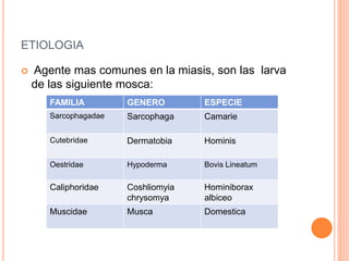 Miasis | PPTX