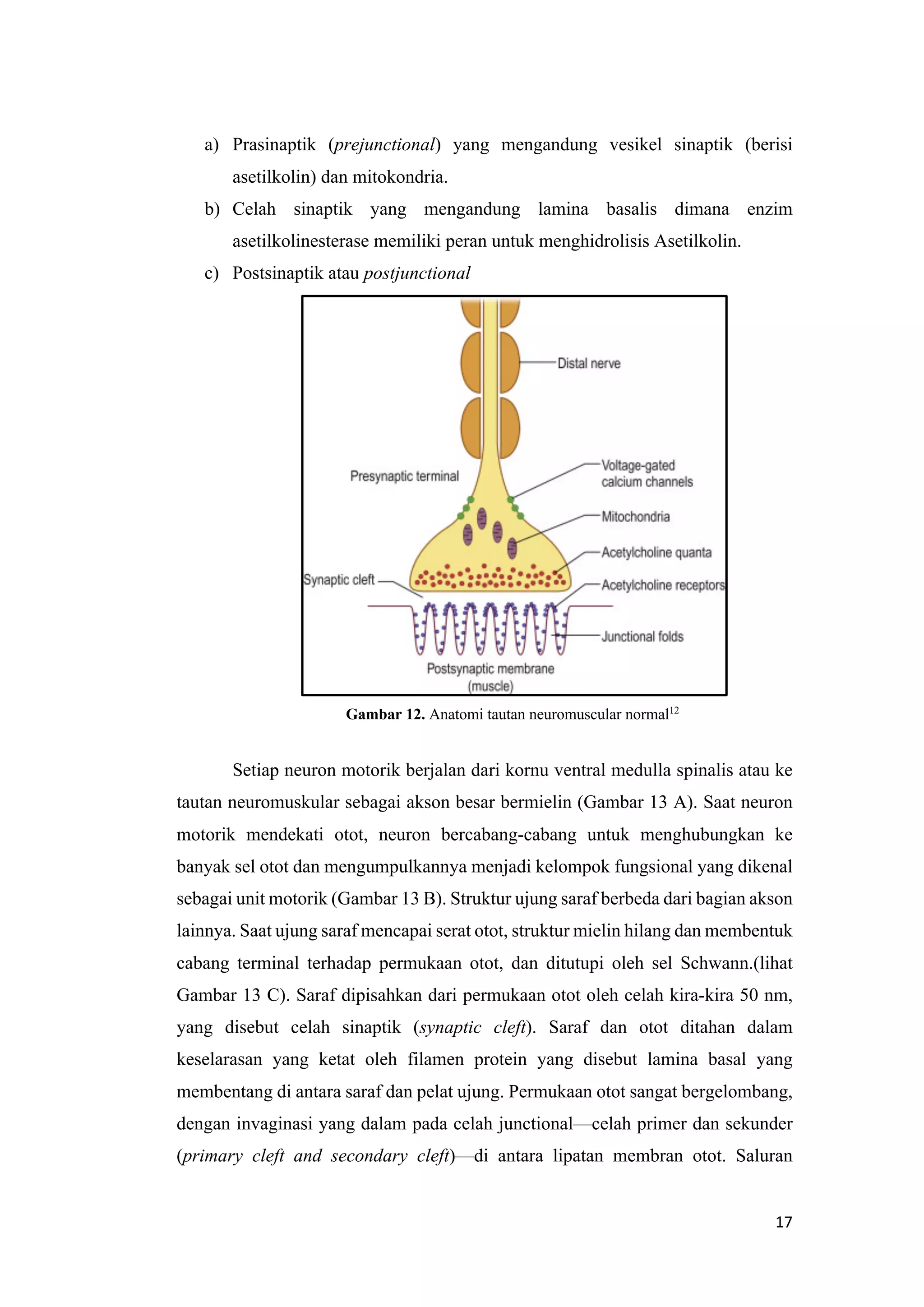Miastenia Gravis Okular - FDI.pdf
