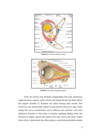 Miastenia Gravis Okular - FDI.pdf