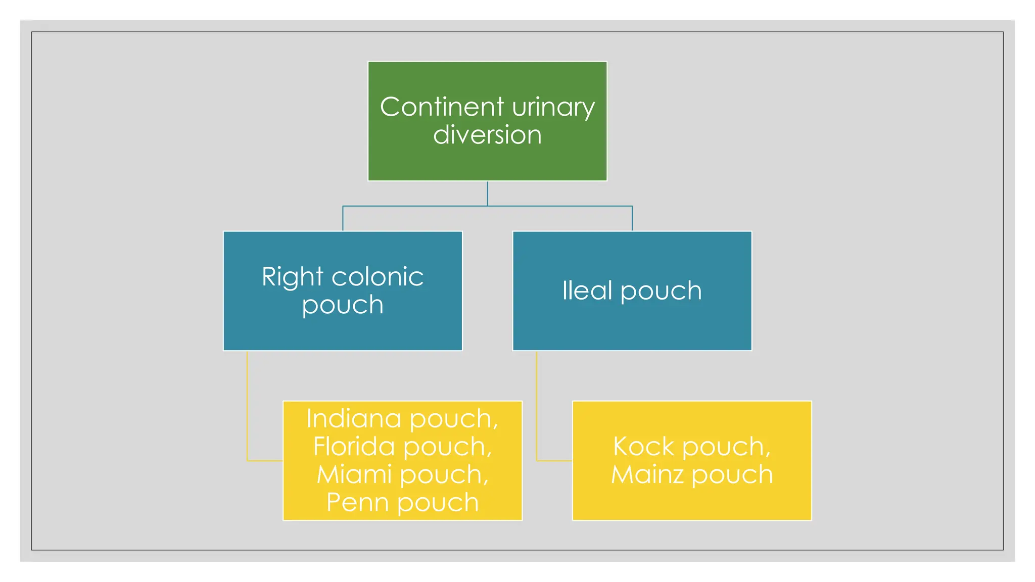MUSCLE INVASIVE BLADDER CARCINOMA - UROLOGY | PPTX