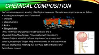 MIBCC 101(CELL Membrane - Structure,composition and Functions).pdf