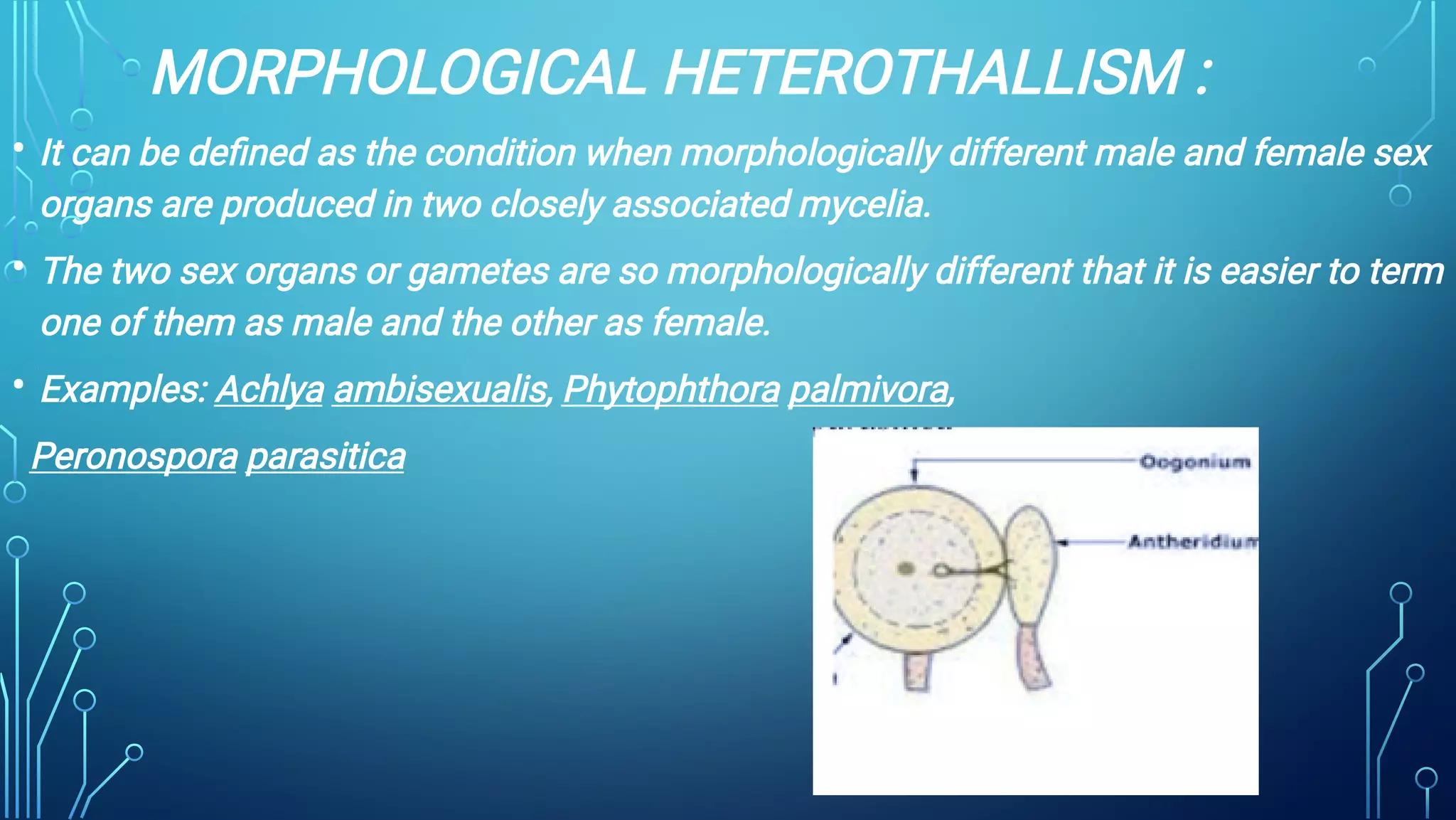 (Homothallism and heterothallism | PDF