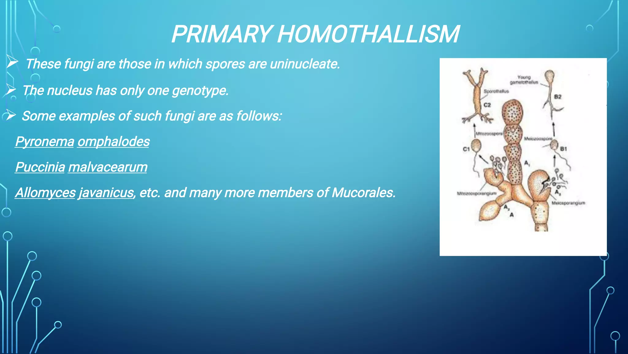(Homothallism and heterothallism | PDF