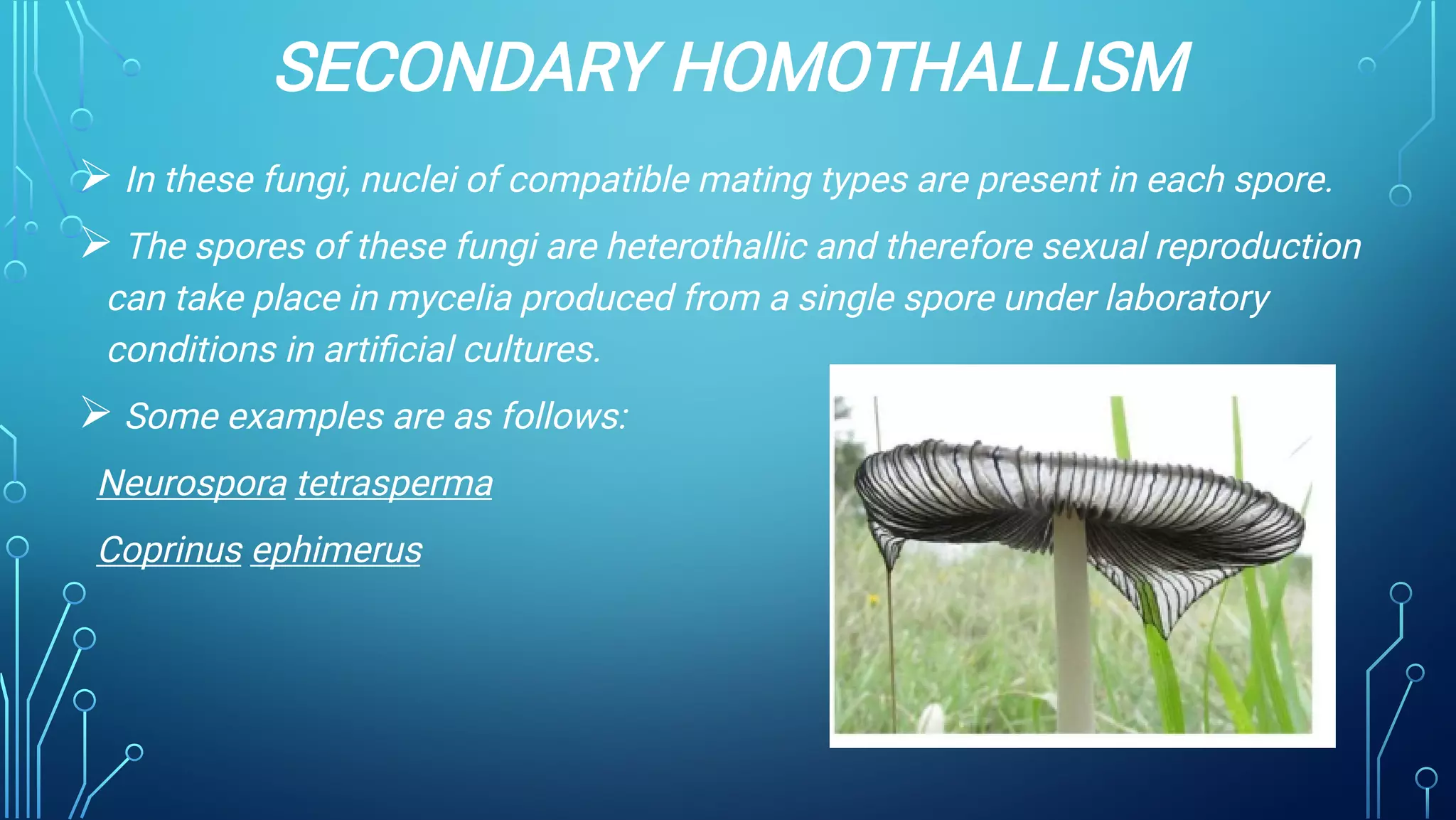 (Homothallism and heterothallism | PDF