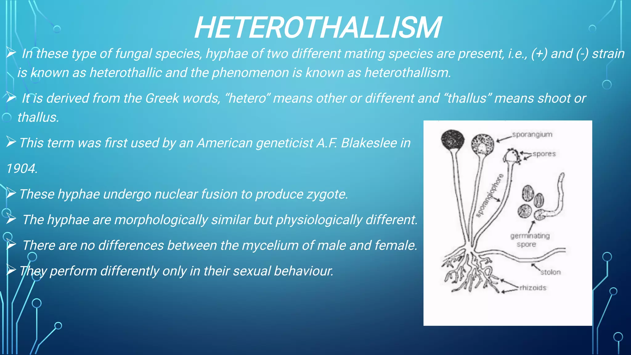 (Homothallism and heterothallism | PDF