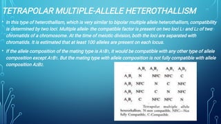 (Homothallism and heterothallism | PDF