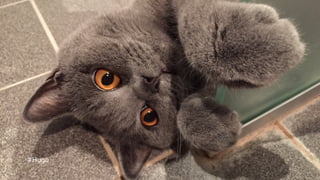 MIB Introduction Program | PPT