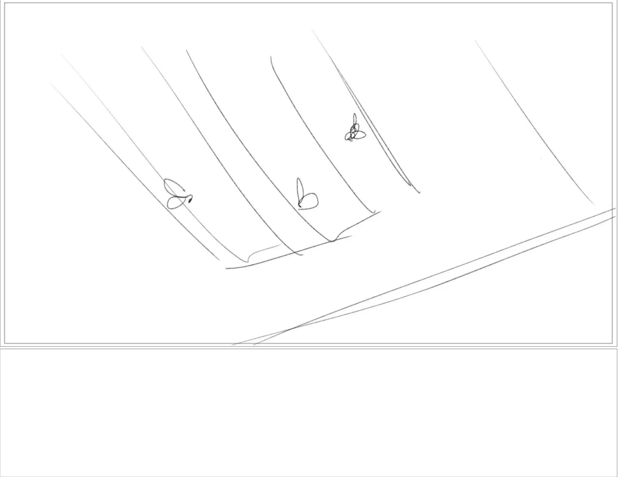 Miss Illusion- beginning boards yayyyyyy | PDF
