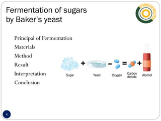 MIC-635, Practical-1.pdf
