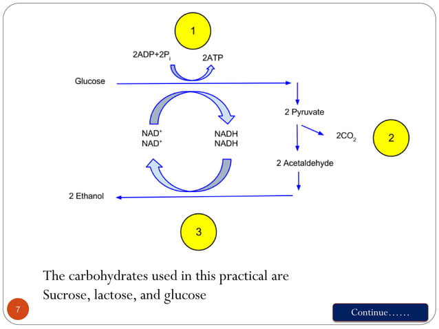 MIC-635, Practical-1.pdf | Chemistry | Science