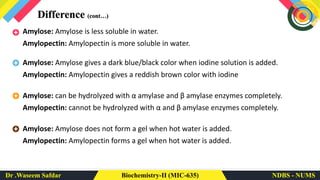 Isolation of Amylose | PDF