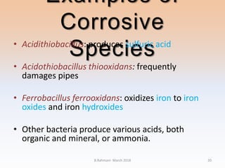 MIC (Microbial Influenced Corrosion) in Environmental Sustaiability | PPTX