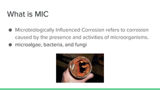MIC-Failure Analysis.pptx