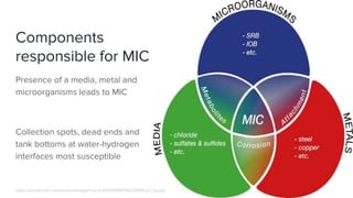 MIC-Failure Analysis.pptx