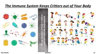 Basic intro to Microbes and the Immune System Powerpoint | PPTX