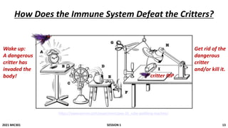 Basic intro to Microbes and the Immune System Powerpoint | PPTX